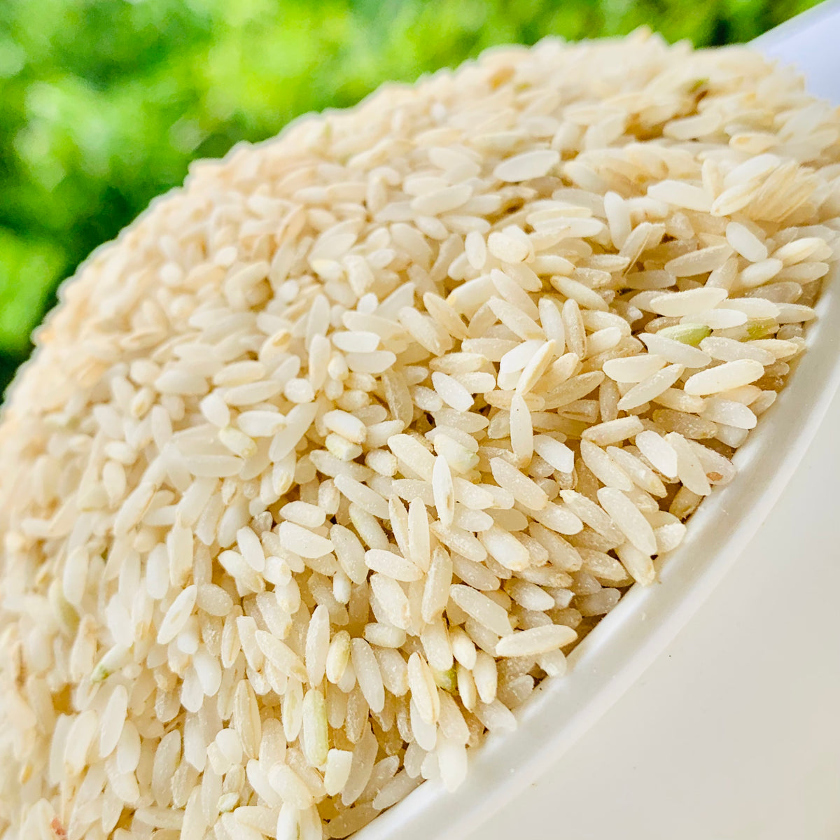 Mysore Mallige Rice-Jasmine Rice-Karnataka – Vintage Farmers