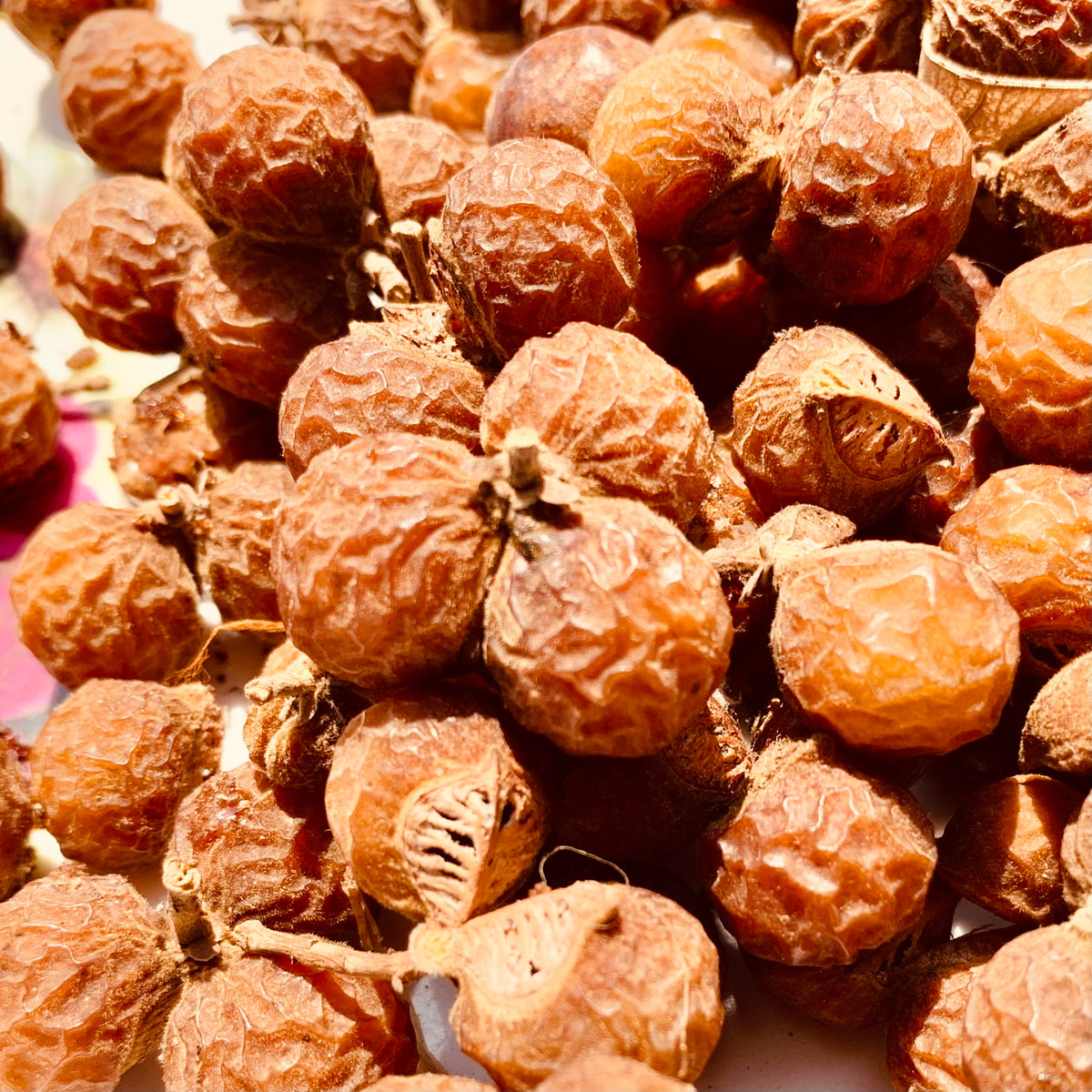 Natural Soap Nut-Kunkudu Kaayalu – Vintage Farmers