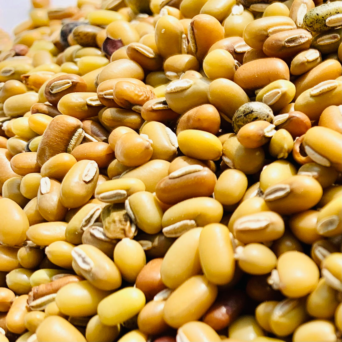 Bobbarlu-Alasadalu-Cow Peas-Black Eyed Peas-1 Kg – Vintage Farmers