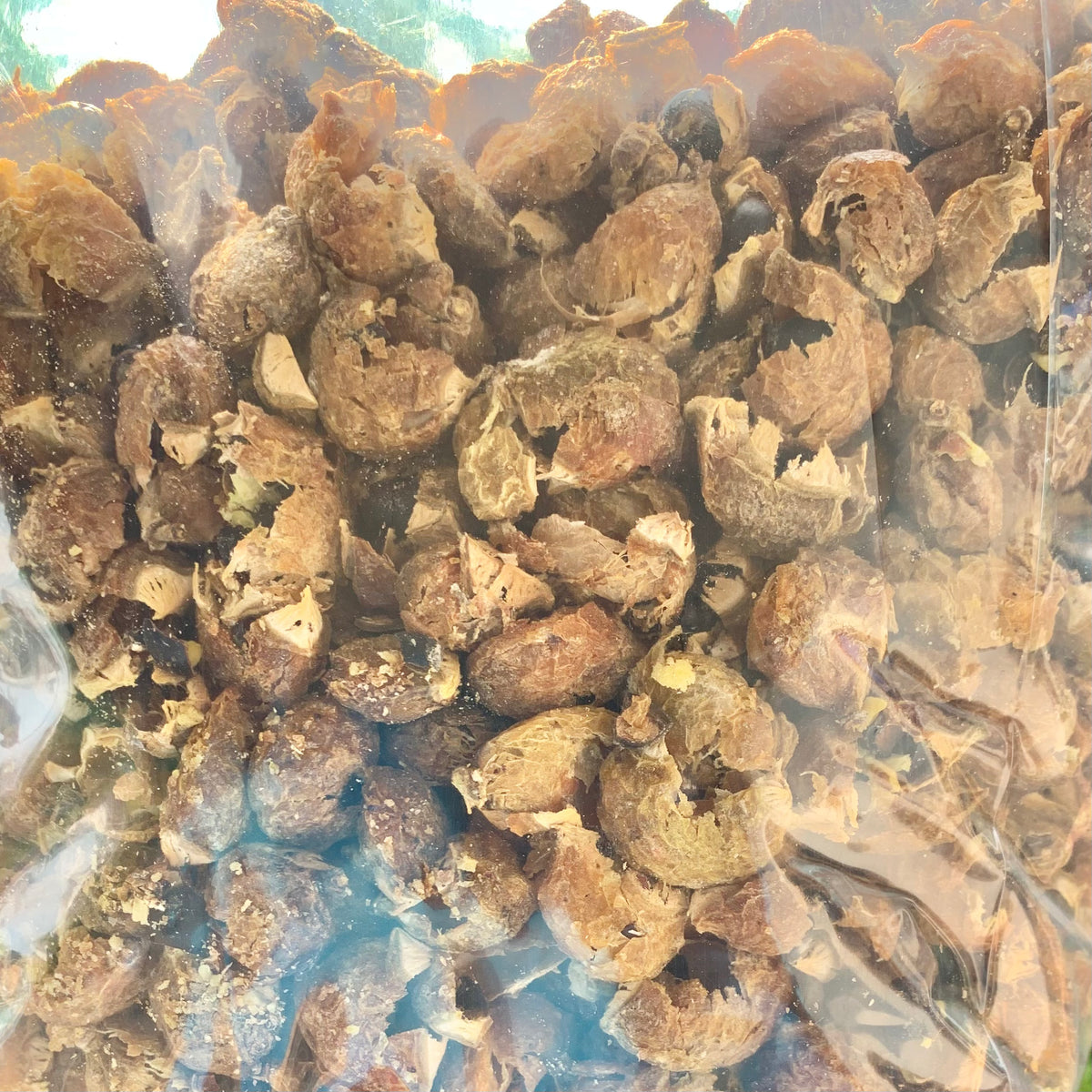 Smashed Natural Soap Nut-Chithaga Gottina Kunkudu Kaayalu-1 Kg ...