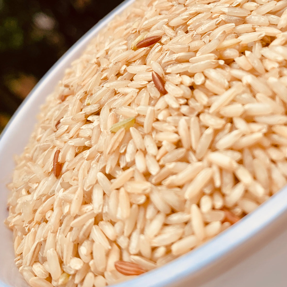 Sidha Sannalu Rice-Superfine Andhra Desi Rice – Vintage Farmers