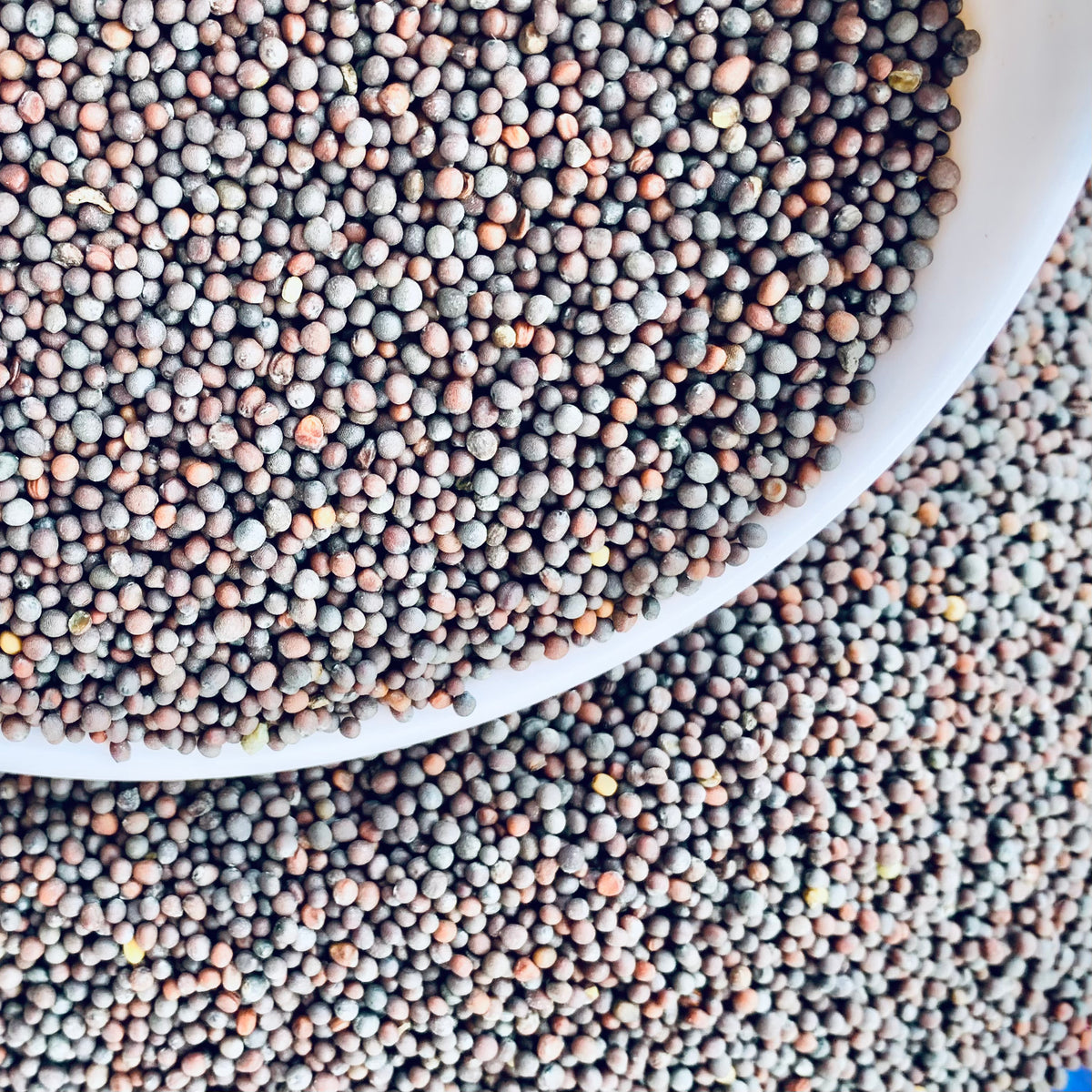 Edible Mustard Seeds 1Kg – Vintage Farmers