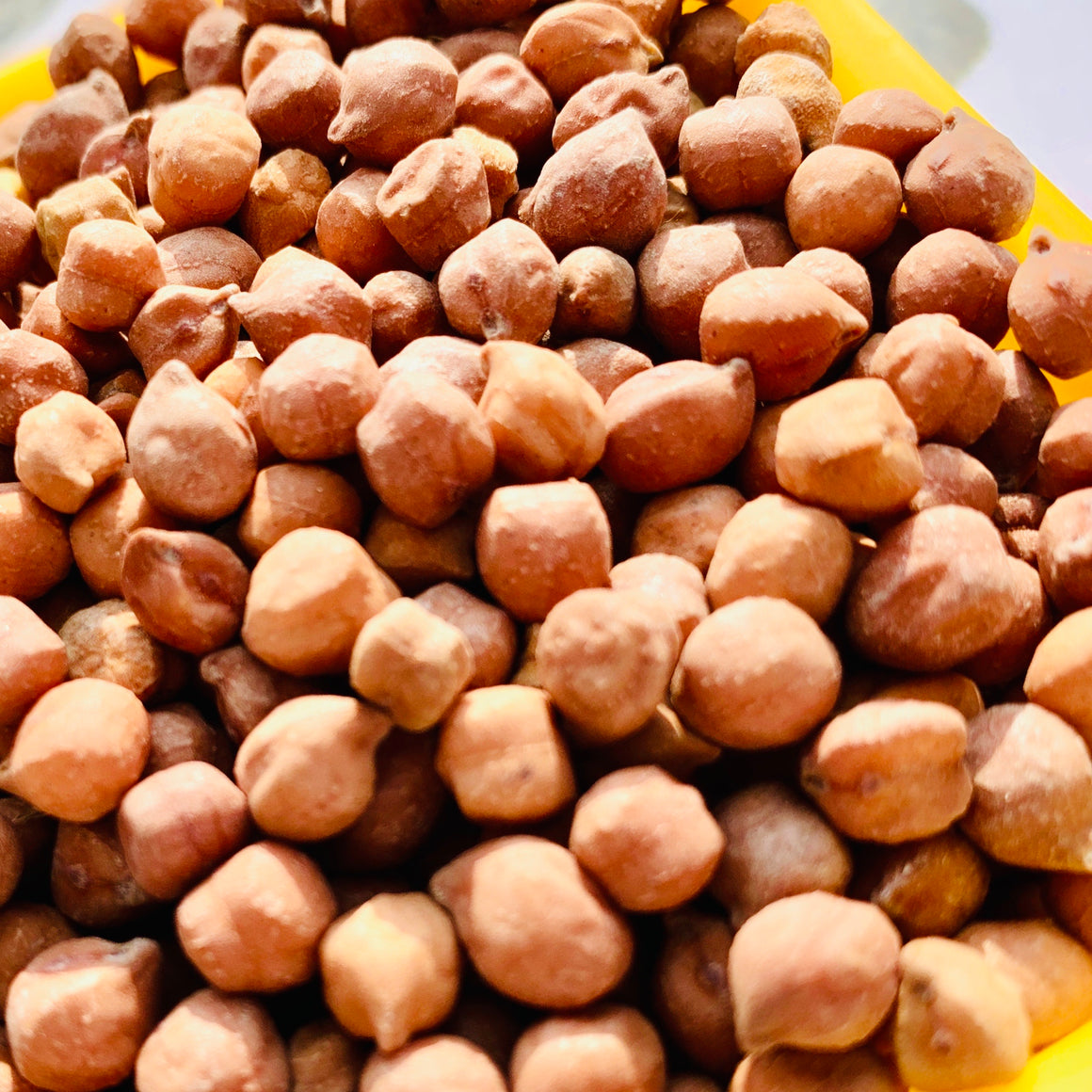 Natural Pulses & Dals – Protein-Rich, Farm-Sourced Essentials – Tagged ...