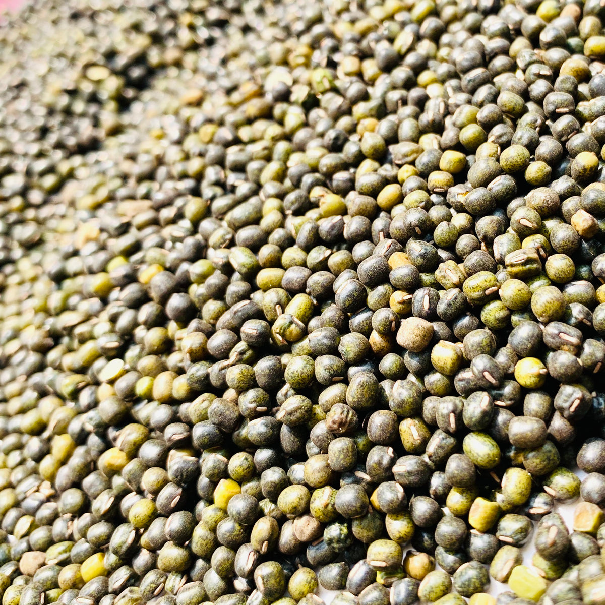 Black Moong Seeds-Nalla Pesalu – Vintage Farmers