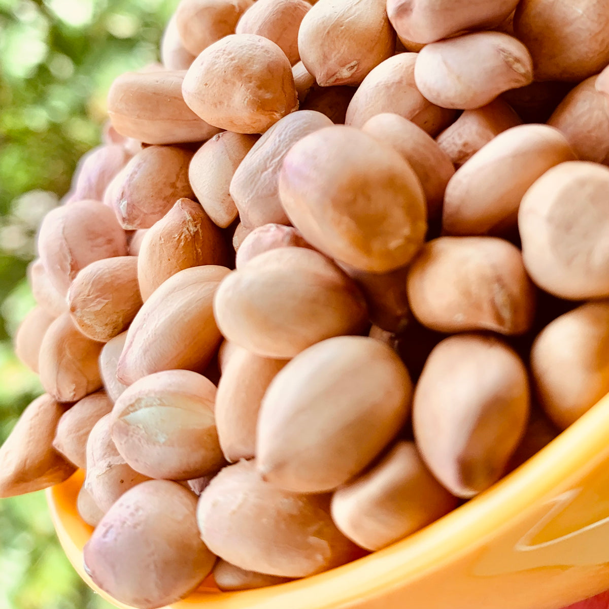 1 Kg Raw Peanuts-Groundnuts – Vintage Farmers