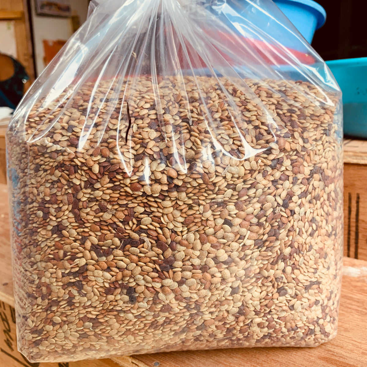 Horse Gram-Vulavalu-1 Kg Packs – Vintage Farmers