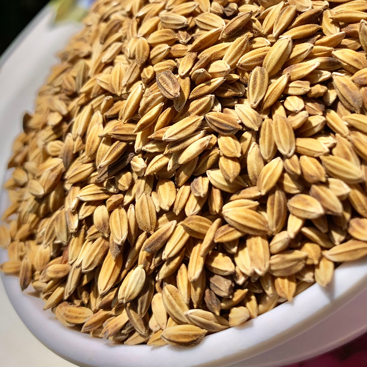 Farmers Bahurupi Paddy Seeds – Vintage Farmers