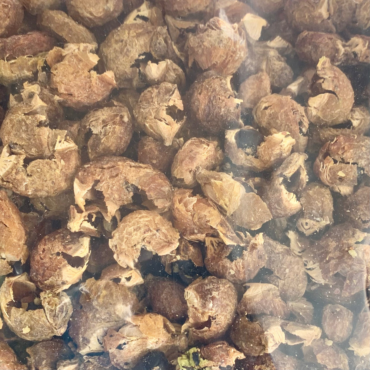 Natural Soap Nut-Kunkudu Kaayalu – Vintage Farmers