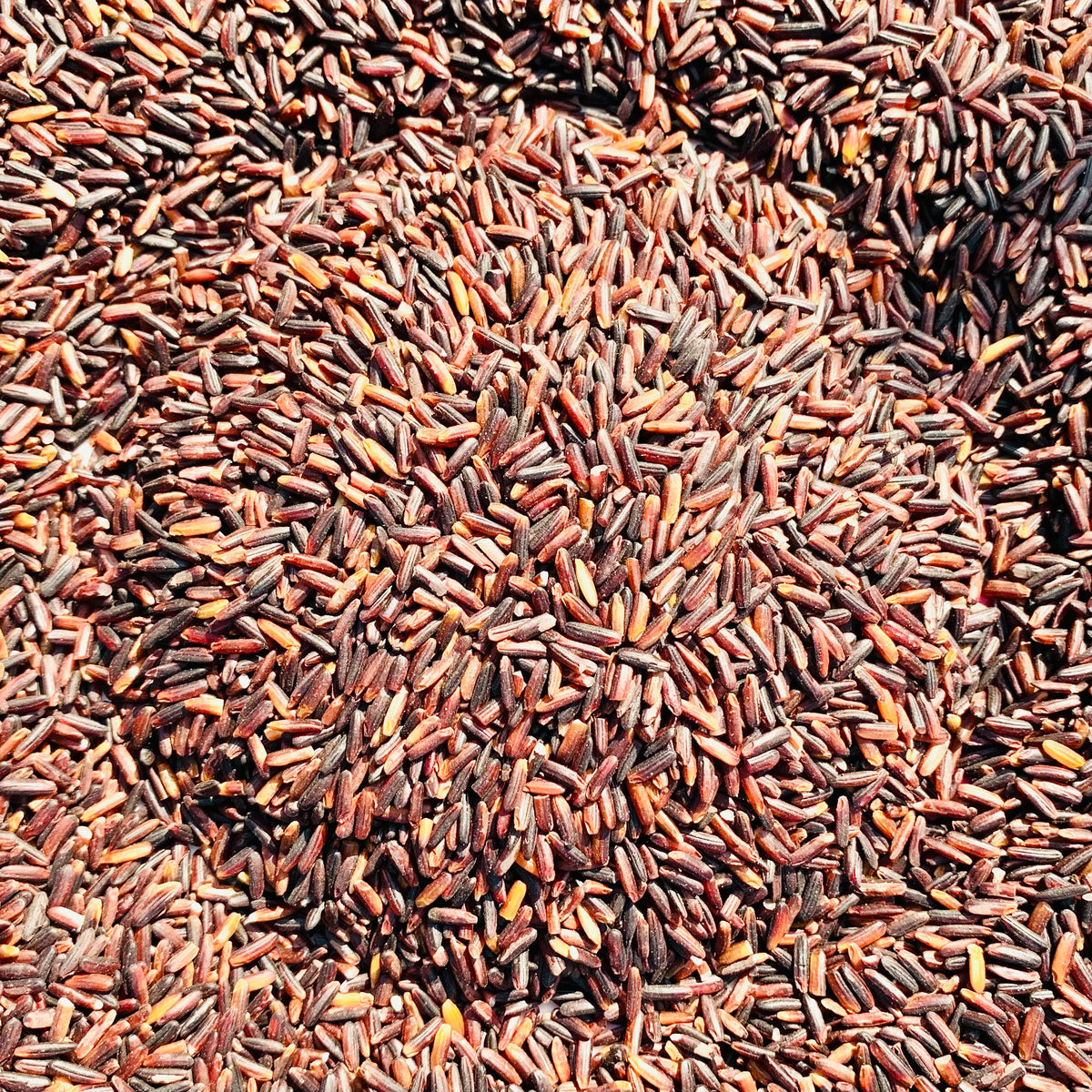 Organic Basmati Burma Black Rice – Vintage Farmers