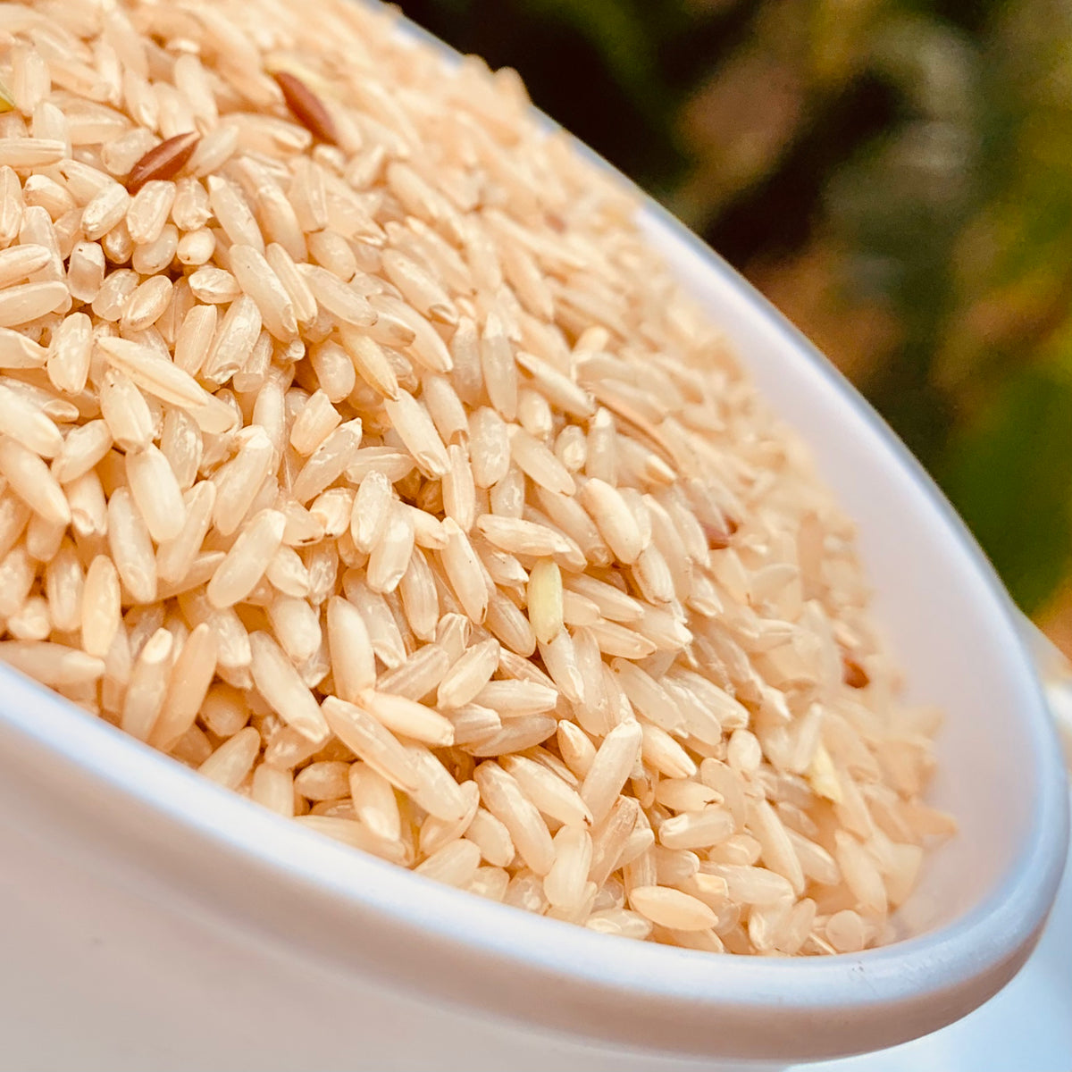 Sidha Sannalu Rice-Superfine Andhra Desi Rice – Vintage Farmers